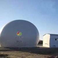 China Biodigestor UASB CNG Production Plant Domestic Biogas Plant for sale