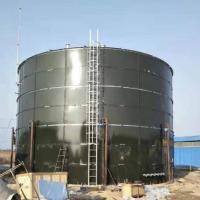 China Biodigestor UASB CNG Production Plant Domestic Biogas Plant for sale