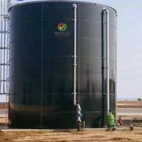 China UASB EGSB Biogas Plant Project Commercial Gobar Gas Plant for sale