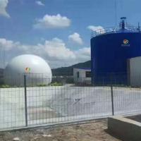 China Expanded Granular Sludge Bed EGSB Wastewater Treatment Commercial Biogas Plant for sale