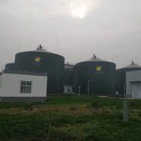 China Expanded Granular Sludge Bed EGSB Wastewater Treatment Commercial Biogas Plant for sale