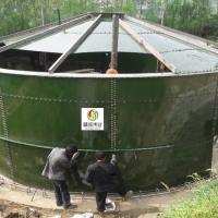 China Expanded Granular Sludge Bed EGSB Wastewater Treatment Commercial Biogas Plant for sale