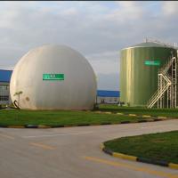 China Expanded Granular Sludge Bed EGSB Wastewater Treatment Commercial Biogas Plant for sale