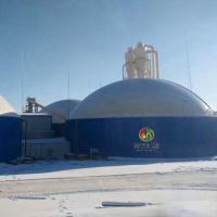 China UASB Tank Biogas Plant Project Upflow Anaerobic Sludge Blanket Reactor for sale