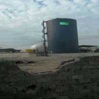 China Cow Dung Biogas Chp Plant EGSB CHP Wastewater Treatment Plant for sale