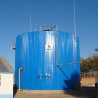 China Cow Dung Biogas Chp Plant EGSB CHP Wastewater Treatment Plant for sale
