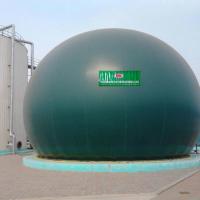 China Dung Biogas Plant Project UASB Anaerobic Digestion Power Plant for sale