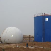 China Anaerobic Double Membrane Gas Holder PVC PDFE Biogas Gas Holder for sale