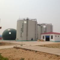 China Anaerobic Double Membrane Gas Holder PVC PDFE Biogas Gas Holder for sale