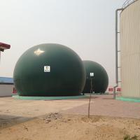 China Anaerobic Double Membrane Gas Holder PVC PDFE Biogas Gas Holder for sale