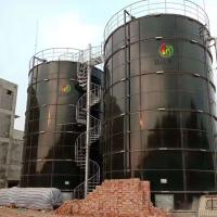 China Waste Manure Anaerobic Reactor UASB Anaerobic Digester for sale