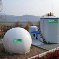 China EGSB High Rate Anaerobic Reactor Anaerobic Fixed Film Reactor Economical for sale