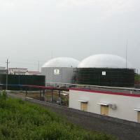 China Hybrid UASB Anaerobic Reactor Upflow Anaerobic Sludge Bed Reactor for sale