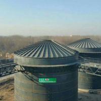 China WWTP 800m3 Biogas Digester Tank RNG Anaerobic Digester Septic Tank for sale