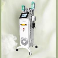 China cryolipolysis fat freezing machine cryolipolisis machine professional cryolipolysis machine for sale