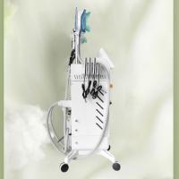 China fat freezing machine cryolipolysis fat freeze slimming machine 360 cryolipolysis machine for sale