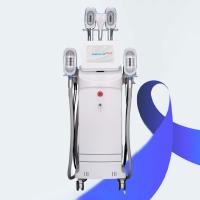 China 360 degree cryolipolisis machine cryo lipo fat freeze cavitation rf vacuum slimming machine for sale
