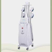 China 360 degree cryo slimming machine lipo laser fat burning fat freezing machine for sale