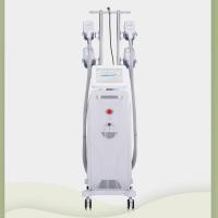 China emslim fat freezing machine cavitation weight loss machine cryolipolysis device for sale