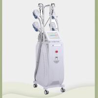 China emslim fat freezing machine cavitation weight loss machine cryolipolysis device for sale