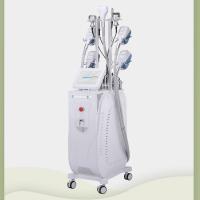 China fat freeze chin cryolipolysis machine large cryolipolysis fat freezing machine for sale