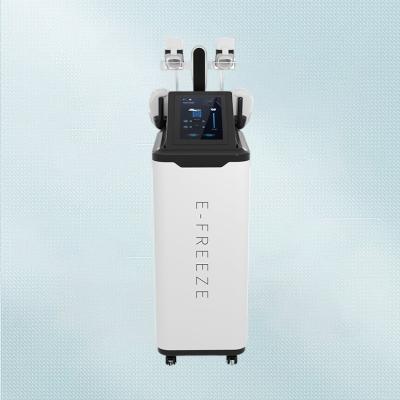 China Cryolipolisis Ems Muscle Stimulation Machine Big Handles 360 Slim Body Machine for sale