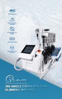 China Slimming Fat Freezing Machine Portable Cryolipolysis Machine for sale