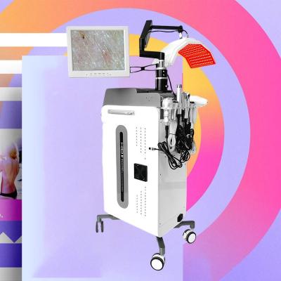 China 10 In 1 Mobile Microdermabrasion Machine Hydra Beauty Facial Machine for sale