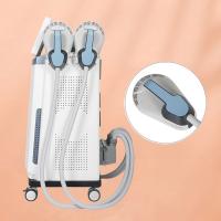 China Ems Rf Tens Electronic Muscle Stimulator Electric Muscle Massager MultiFunction for sale