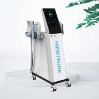 China Ems Digital Muscle Stimulator Machine Electro For Salon for sale