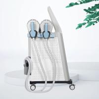 China Ems Digital Muscle Stimulator Machine Electro For Salon for sale