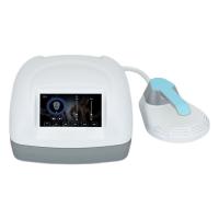 China OEM Electro Estimulador Muscular Muscle Stimulator Electric Tens Muscle Stimulator for sale