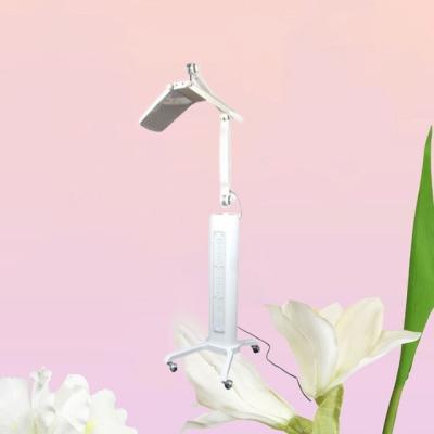 China Spa Pdt Light Therapy Machine Clinic Professional Led Facial Machine for sale