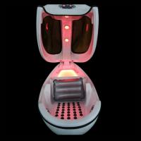 China Therapy Sit Sauna Infrared Spa Capsule Slimming Salon Beauty Machine for sale