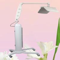 China Skin Rejuvenation PDT Beauty Machine SMD Led Light Therapy Equipment for sale