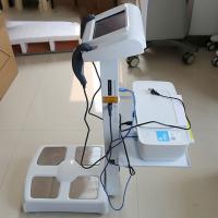 China OEM GS6.5B Body Analyzer Machine Fat Scale Healthy Body Composition Analyzer for sale