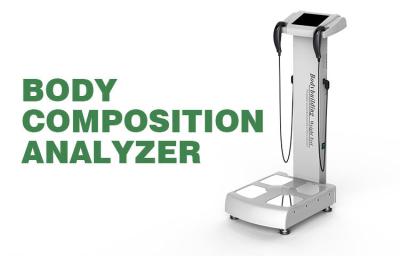 China GS6.5B Body Analyzer Machine Patented Body Fat Analyzer Bio Scan for sale