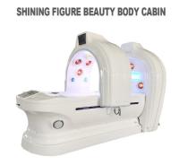 China Steam Far Infrared Spa Capsule Therapy Salon Beauty Machine Hydro Massage Ozone for sale