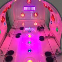 China Steam Far Infrared Spa Capsule Therapy Salon Beauty Machine Hydro Massage Ozone for sale