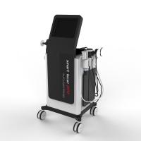 China 6 In 1 Salon Beauty Machine Tecar Beauty Machine Therapy Cet Ret Physiotherapy Diathermy for sale