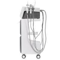 China Micro Needle Fractional Rf Wrinkle Removal Machine Portable for sale