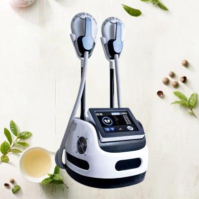 China Ems Portable Muscle Stimulating Slimming Machine For Abdominal for sale