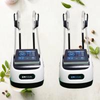 China Ems Portable Muscle Stimulating Slimming Machine For Abdominal for sale