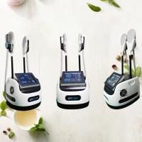 China 110V Electrical Muscle Stimulation Therapy Machine Shape Body for sale