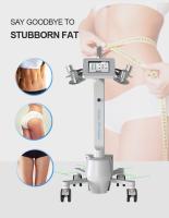China 532nm Green 6d Laser Lipo Machine Salon Beauty Machine Non Invasive for sale
