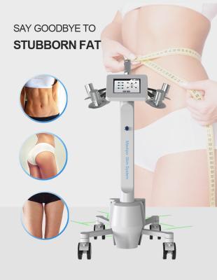 China 532nm Green 6d Laser Lipo Machine Salon Beauty Machine Non Invasive for sale