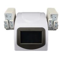 China 650nm Lipo Laser Weight Loss Machine For Body Skin for sale