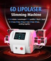 China Salon Beauty Machine 6d Lipo Laser Slimming Machine 110V / 220V for sale