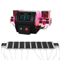 China Salon Beauty Machine 6d Lipo Laser Slimming Machine 110V / 220V for sale