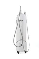 China ABS Vertical Inner Ball Roller Machine Therapy Weight Loss 300w for sale
